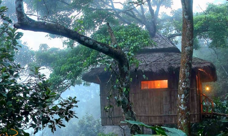 Treehouse Resorts In Kerala For Honeymooners. - Raintree Holidays